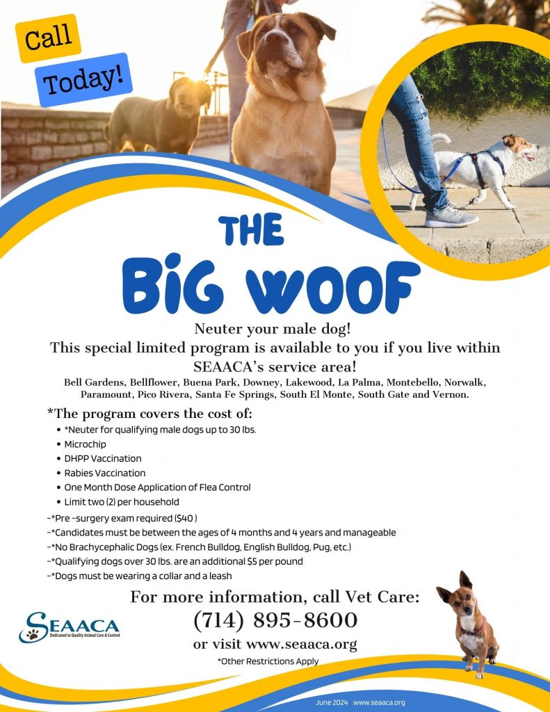 Event/Program Flyers - City of Paramount